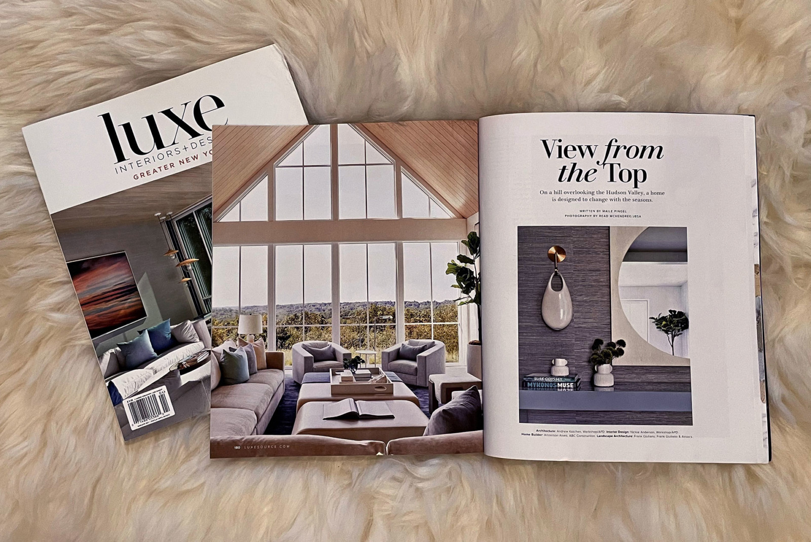In The News: Luxe Interiors + Design Cover Story - Workshop/APD