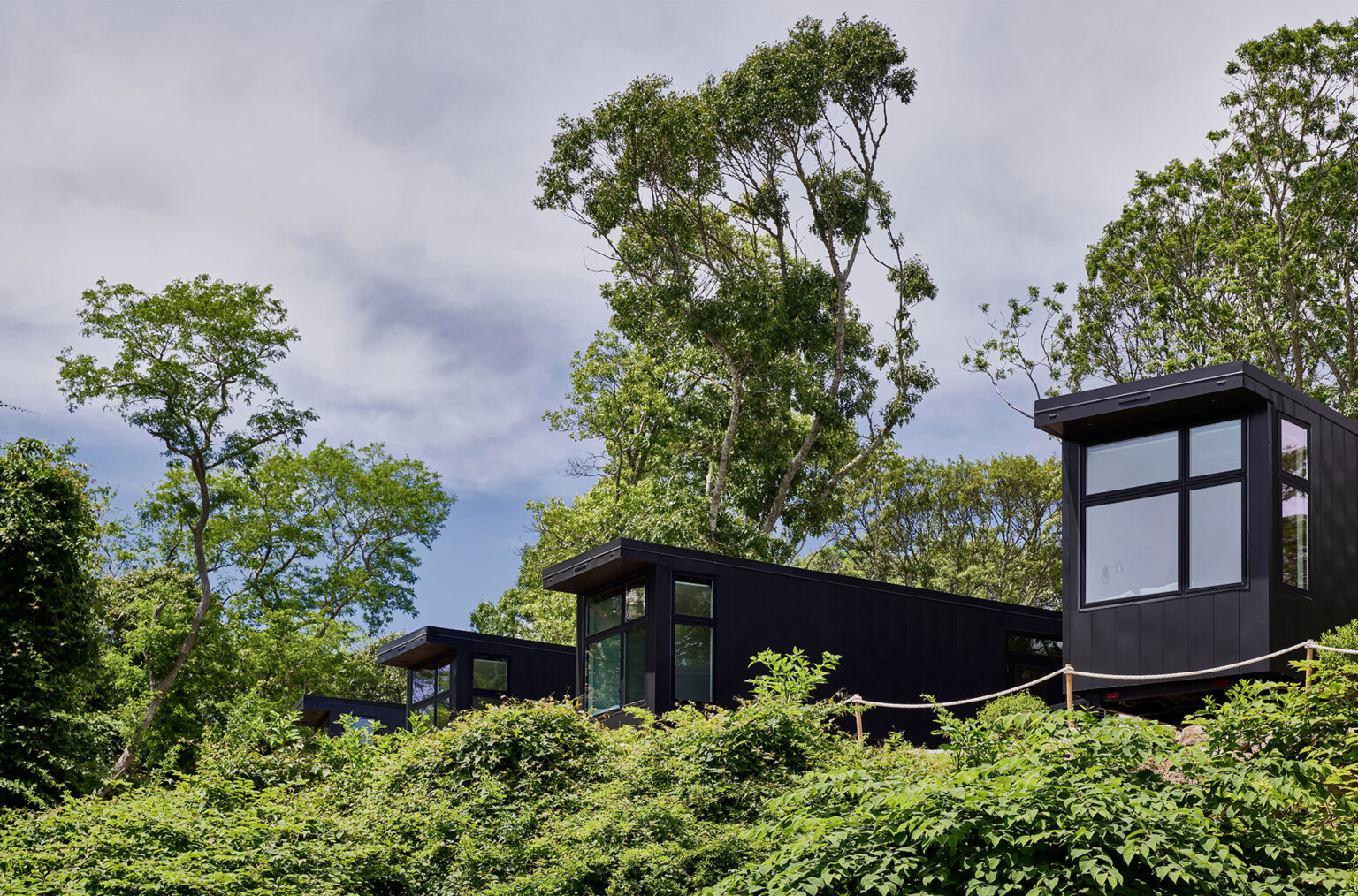 Luxury Hospitality: Natural Connections - Workshop/APD